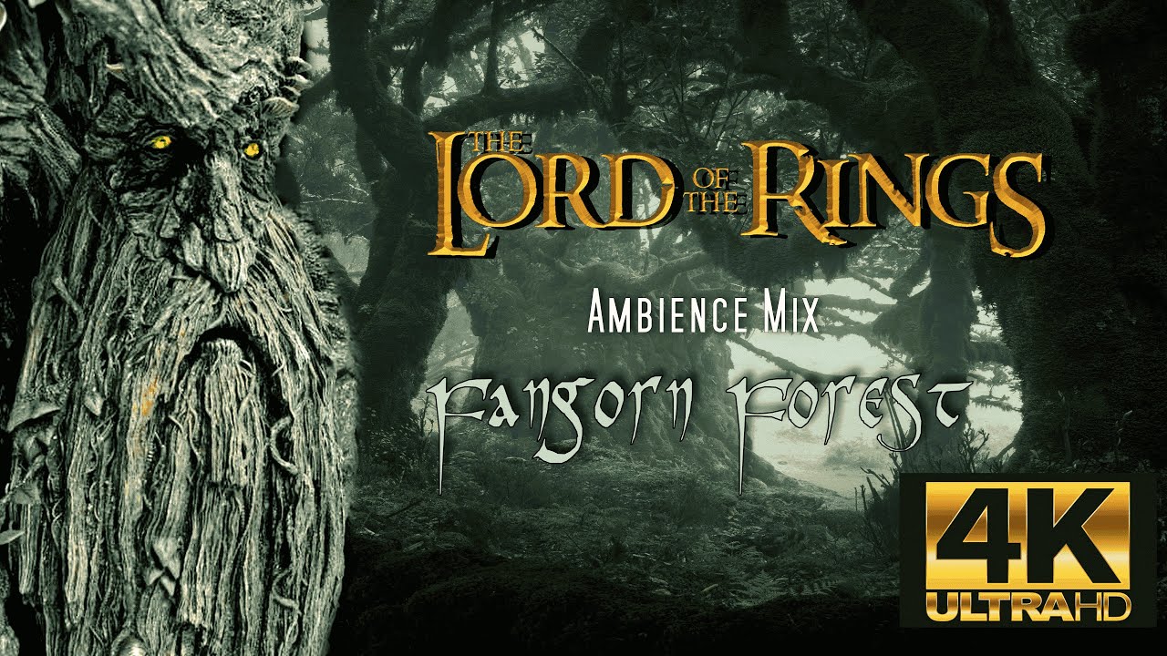 The Fangorn Forest - LORD OF THE RINGS - Ambience - YouTube