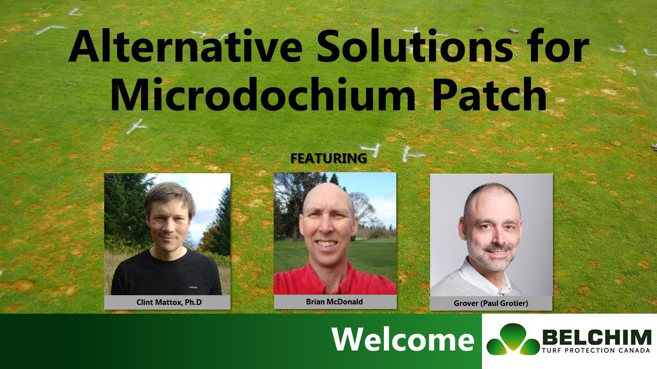Alternative Solutions for Microdochium Patch Control (Webinar) - YouTube