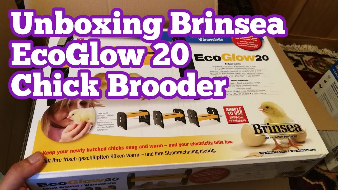 Unboxing Brinsea EcoGlow 20 Chick Brooder - YouTube