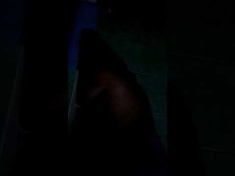 penampakan cisse porcik ngorok