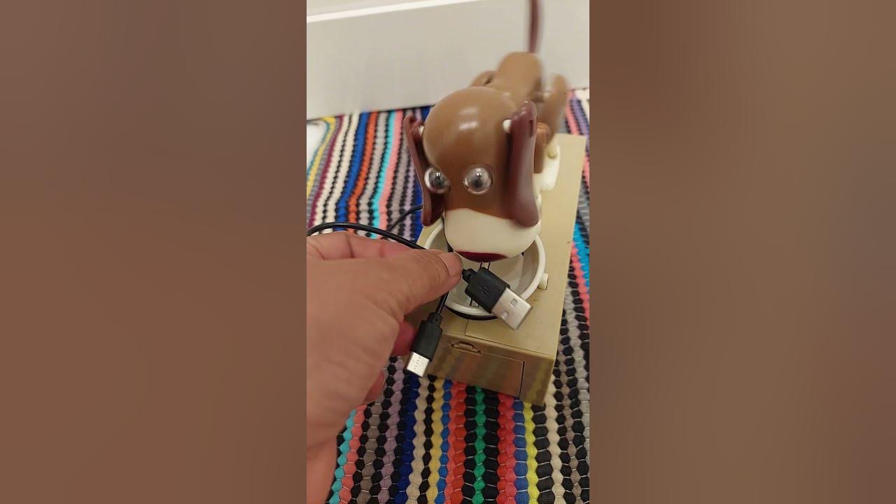 TRENDING ASMR DOGGY DON'T TAKE MY USB CORD #interesting #asmrtriggers #satisfying #reaction # ...