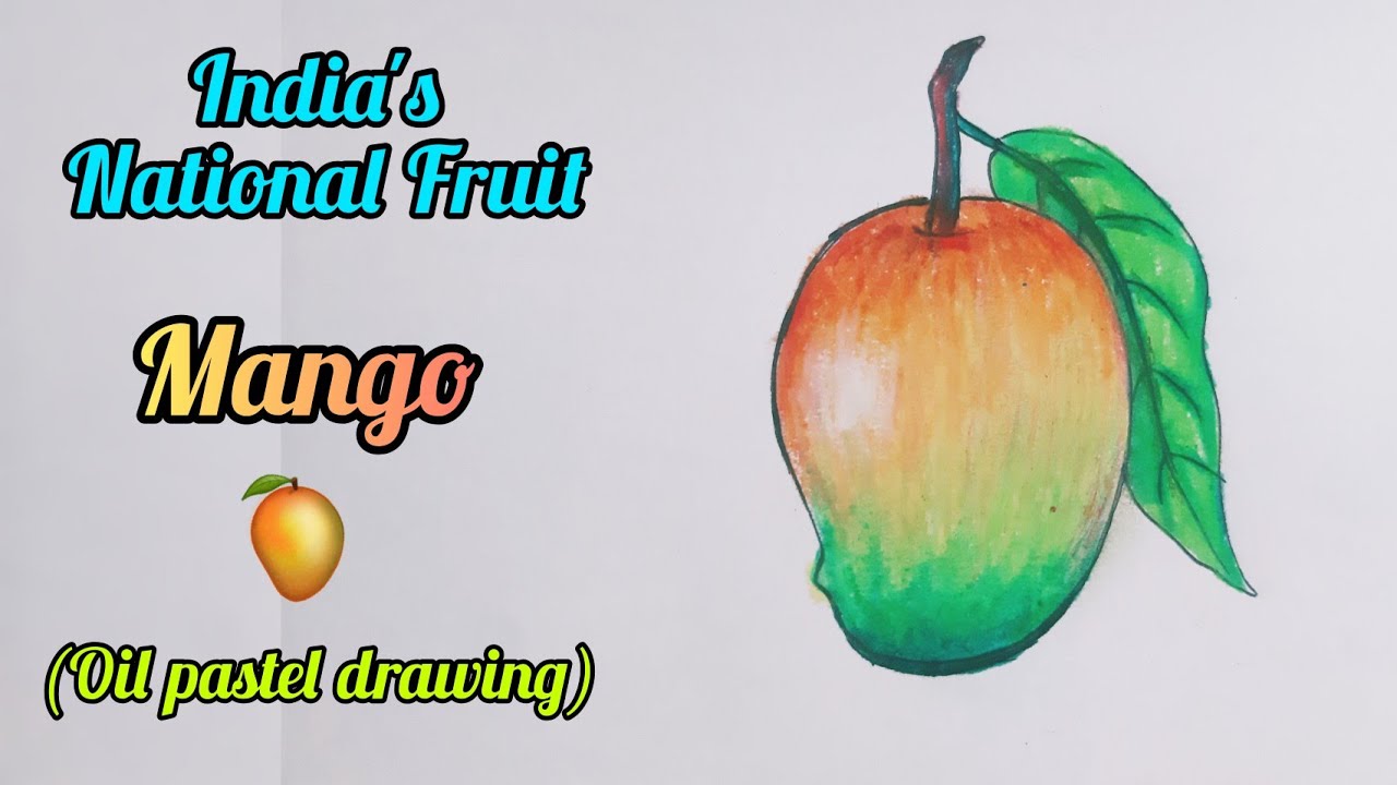 India's National Fruit Drawing🎨//Mango drawing🥭//Oil Pastel Colour🖍 ...