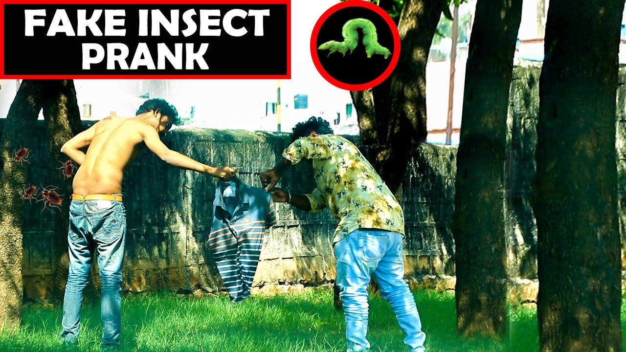 Fake Insect Prank l Funny Reactions l bsk pranks - YouTube