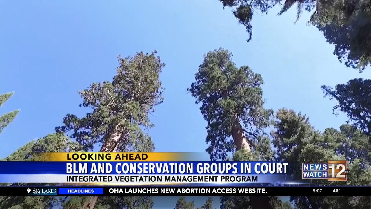 Three conservation groups challenging BLM forest plan in Medford ...