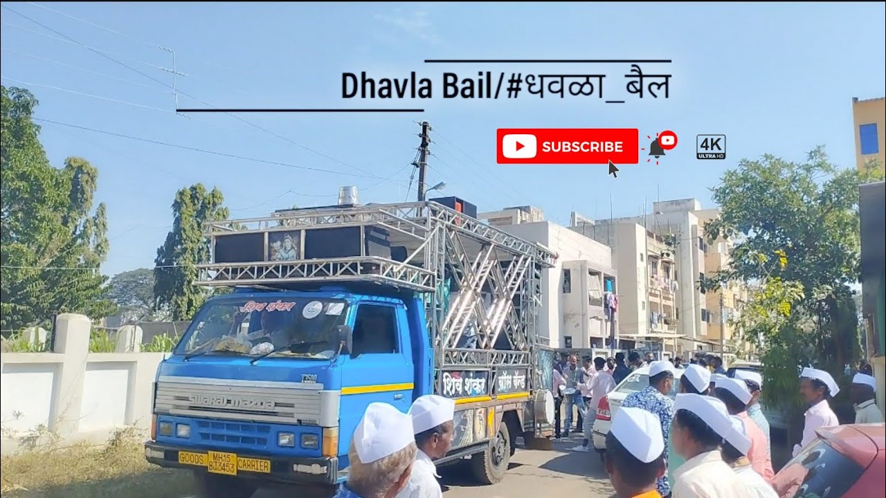 Dhavla Bail/#धवळा_बैल🎶(अहिराणी गीत) 𝐩𝐞𝐫𝐟𝐨𝐫𝐦𝐢𝐧𝐠 𝐨𝐧 𝐒𝐡𝐢𝐯𝐬𝐚𝐧𝐤𝐚𝐫 𝐁𝐫𝐚𝐬𝐬 𝐁𝐚𝐧𝐝 ...