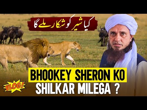 3 Din K Bhookey Sheron Ko Shilkar Miega | Mufti Tariq Masood Speeches 🕋 - YouTube