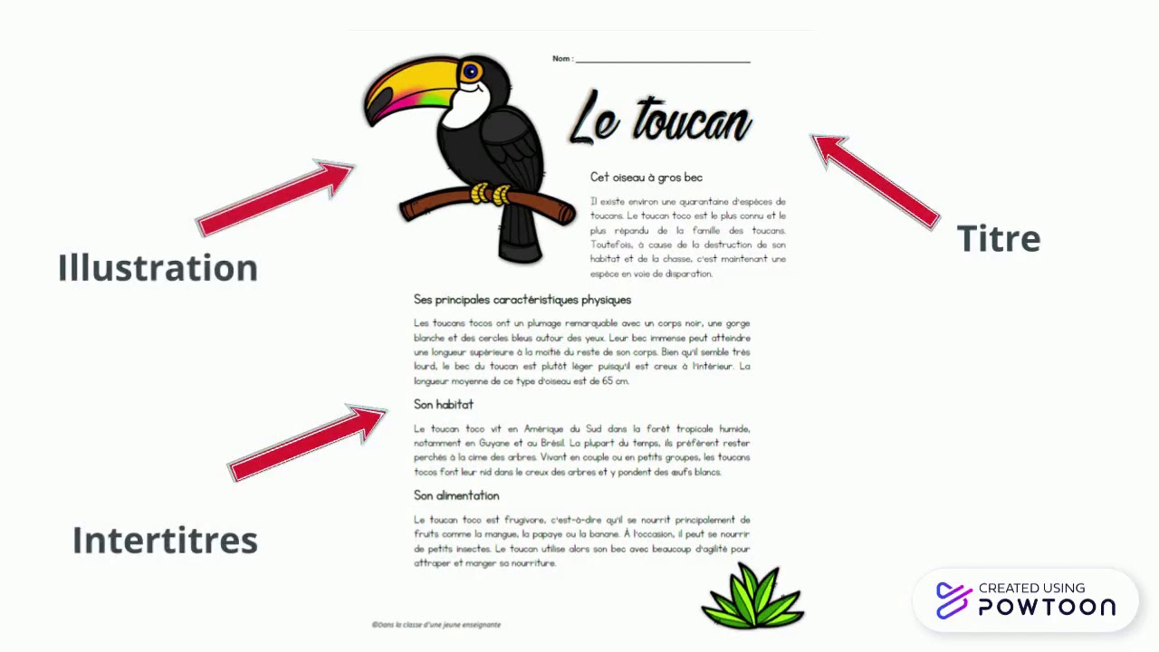 Le texte informatif - YouTube