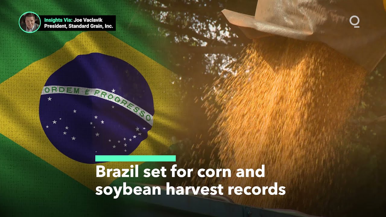 Brazil Set for Record Corn and Soybean Crops - YouTube