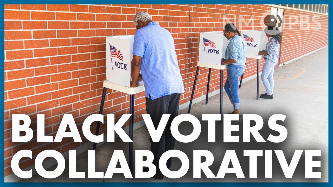 Black Voters Collaborative Working to Boost Voter Turnout | In Focus ...