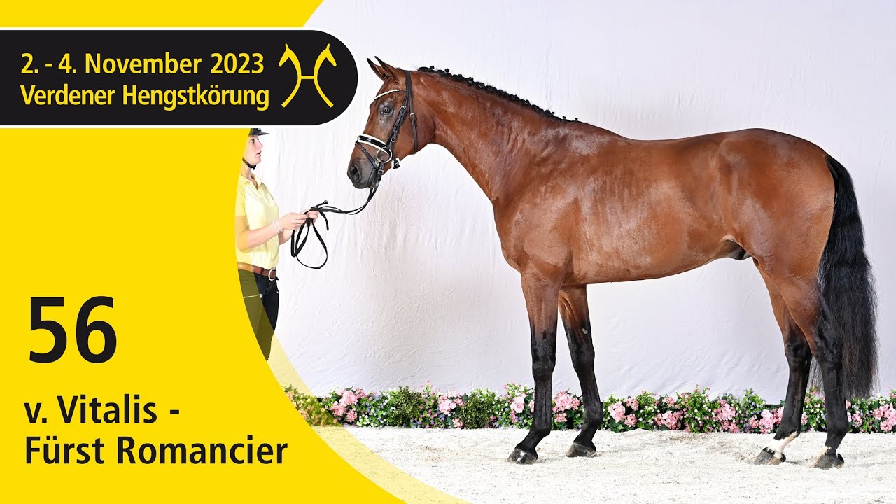 Verden Stallion Licensing 2023 - Dressage - Nov. 2-4 - No. 56 Stallion ...