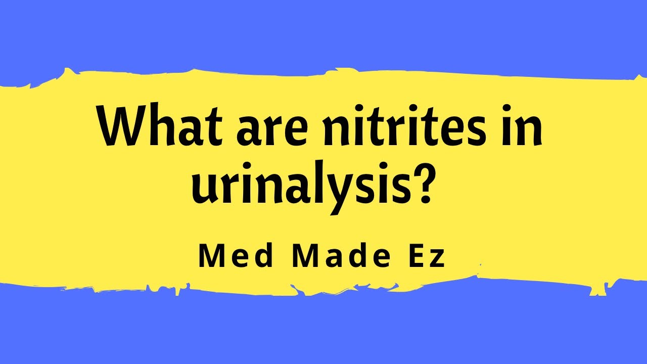 What are nitrites in a urinalysis? - YouTube
