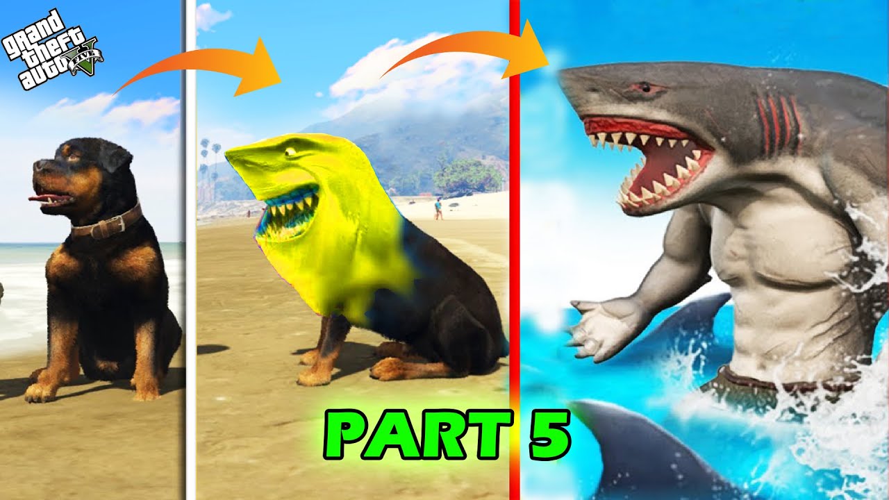 GTA 5 : Upgrading Chop To Killer Whale in GTA 5 { Part 5 } ! (GTA 5 ...