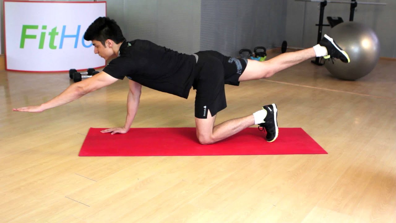 Bird Dog Exercise - YouTube