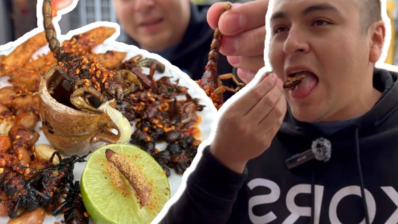 Probando INSECTOS como el Alacrán 🦂 , Escarabajos 🪲, Gusanos de maguey🪲 ...