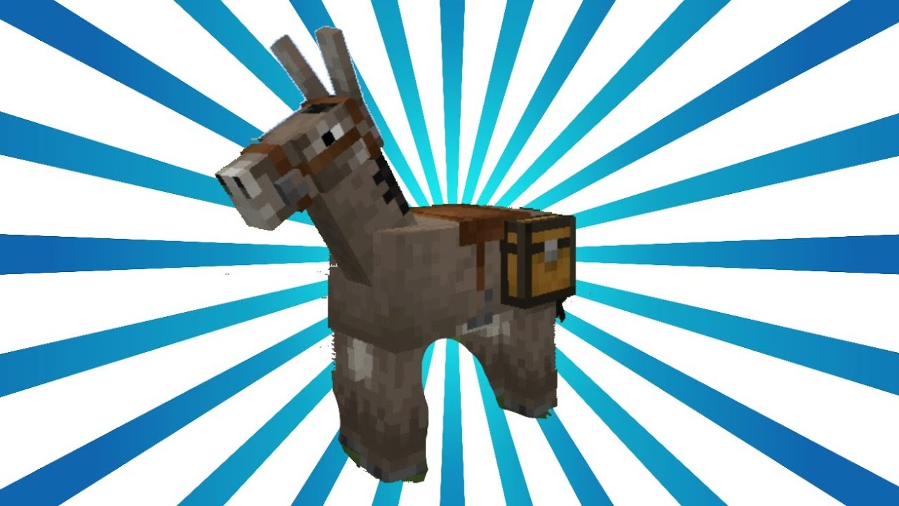 Cara Memasang Chest Di Hewan Minecraft No MODS!!?? - YouTube