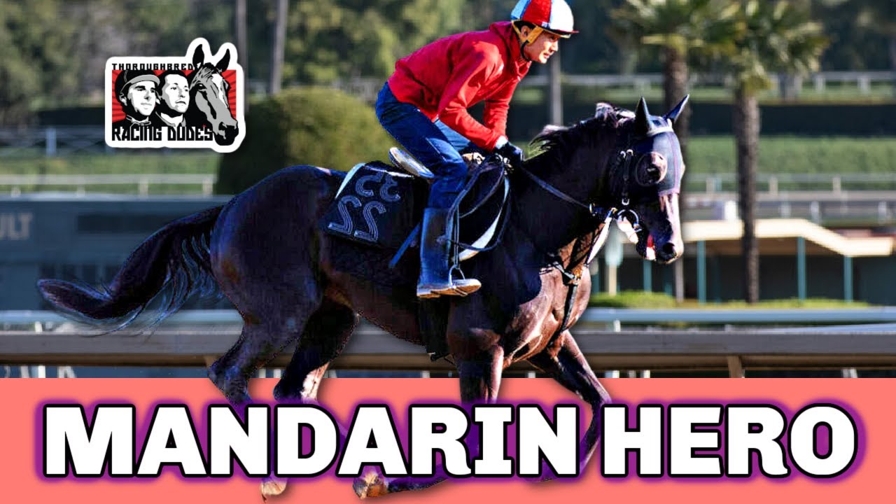 Is MANDARIN HERO A Top Threat To Win For Japan? | 2023 Kentucky Derby ...