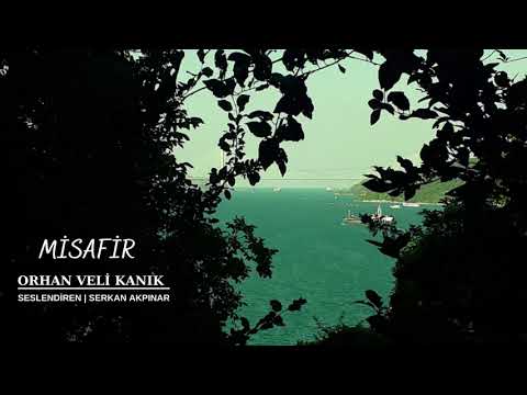 Serkan AKPINAR ~ MİSAFİR ( Orhan Veli Kanık )