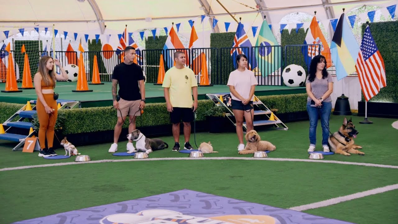 We’re competing for The World Pup Cup! OFFICIAL TRAILER for Animal ...