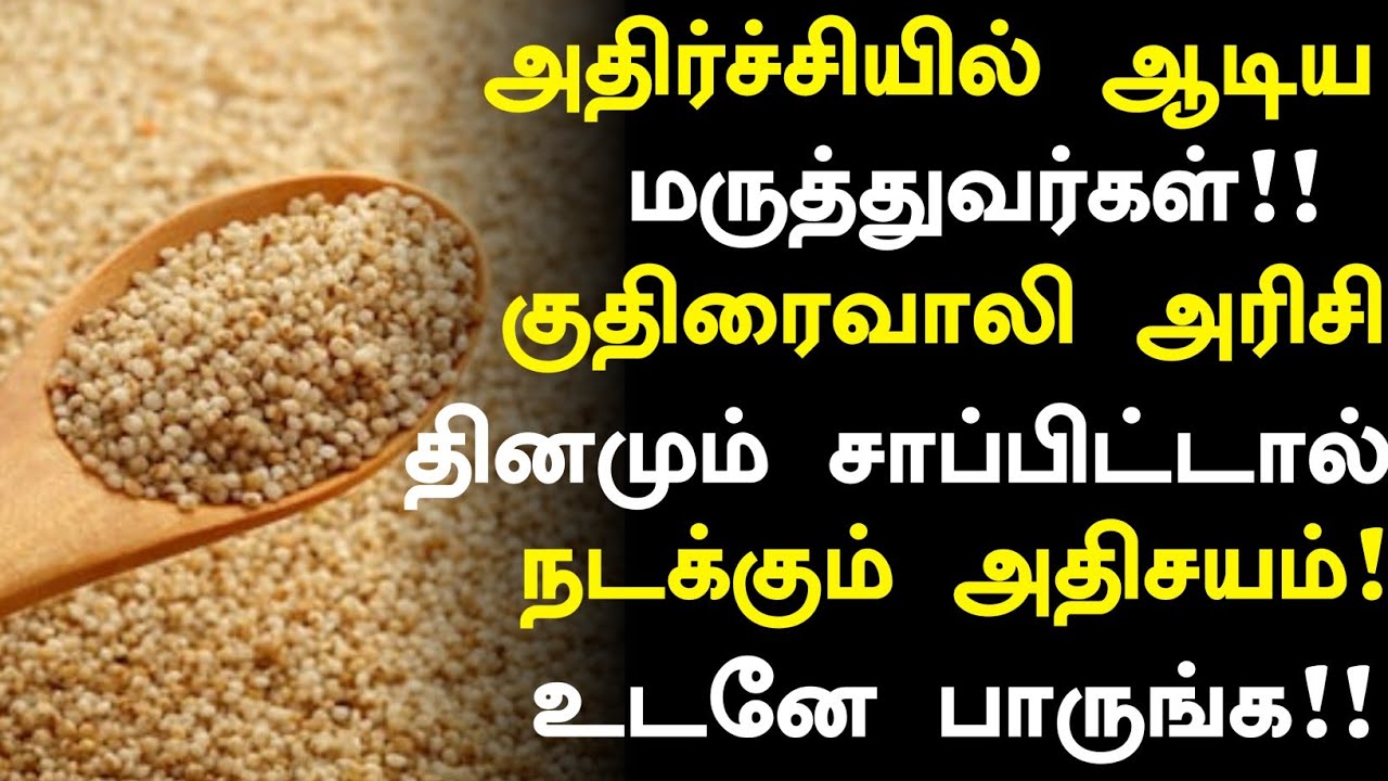 குதிரைவாலி அரிசி அதிசயம்! மருந்து! |Barnyard Millet Benefits in Tamil|Kuthiraivali Benefits in ...