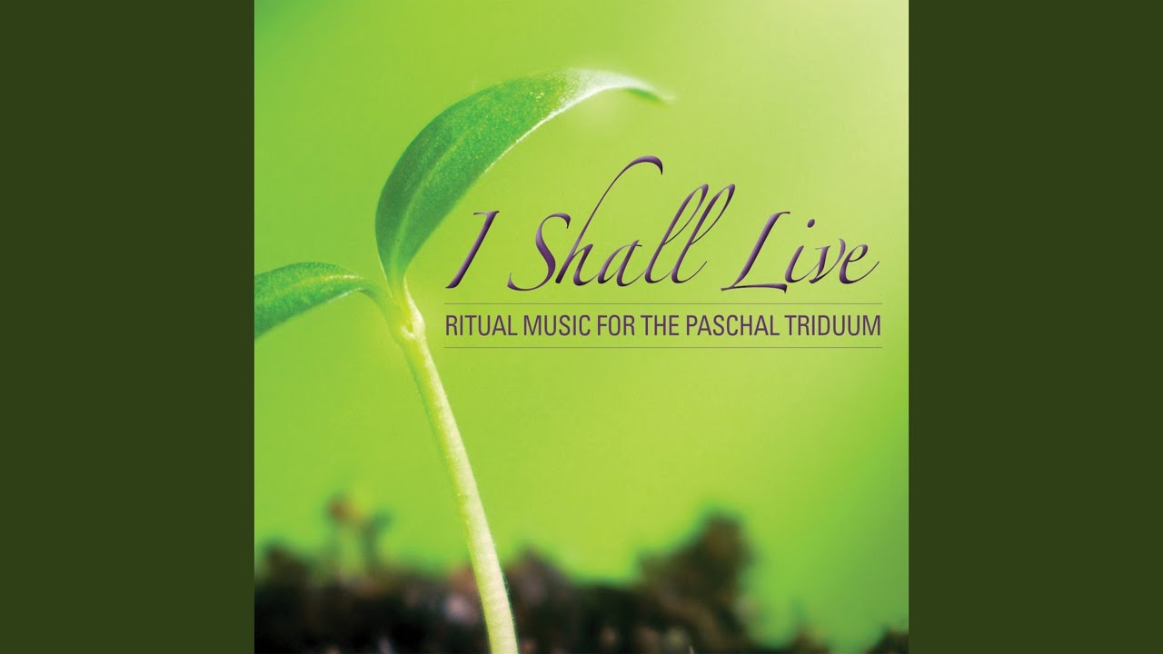 Renewal of Baptismal Promises - YouTube