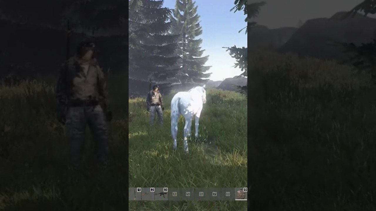 How To Free Your Pet Horse On Dayz - YouTube