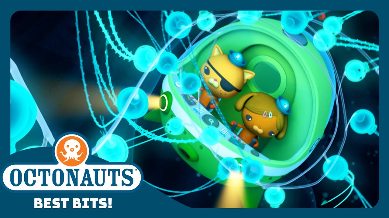 @Octonauts - 🪢 Entangled by the Giant Siphonophore 🎐 | Season 3 | Best ...