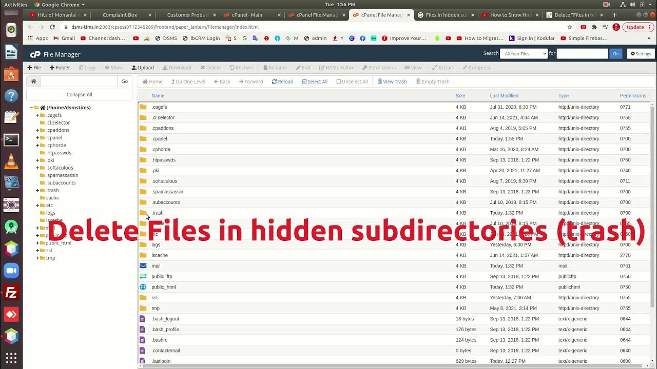 How to Show Hidden Files cpanel File Manager - YouTube