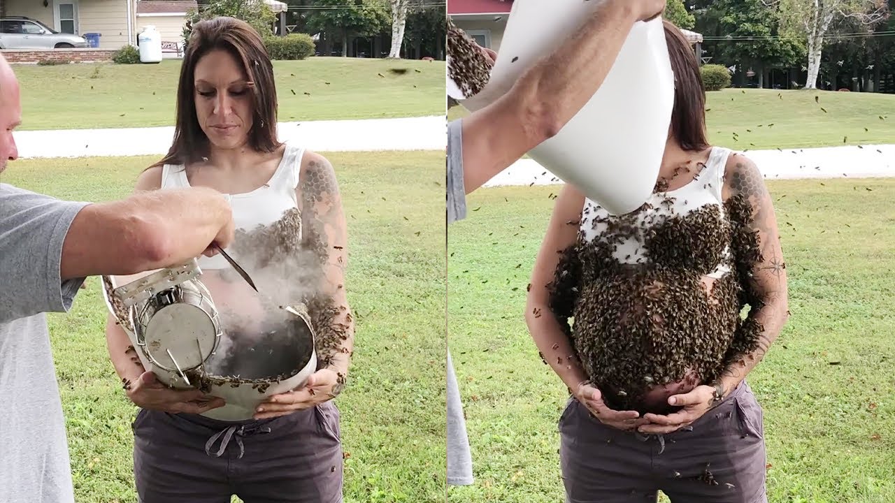 Bees on Pregnant Woman's Belly: A Unique Experience || WooGlobe - YouTube