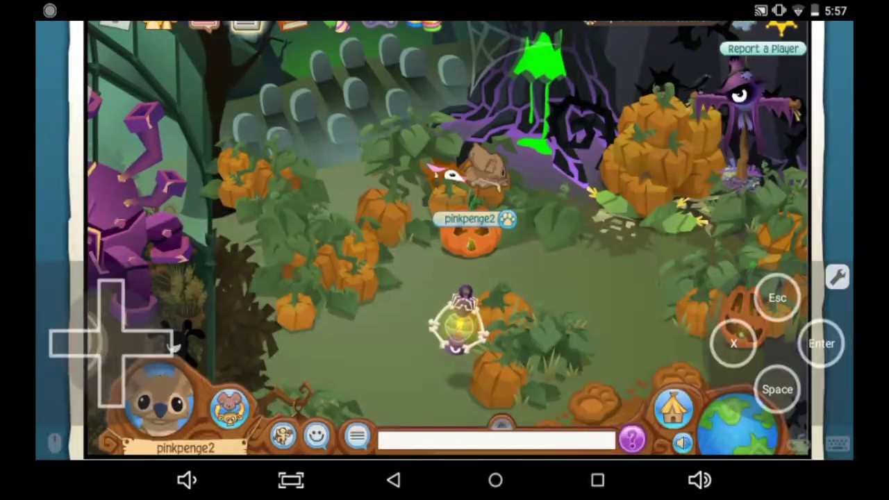 PLAYING ANIMAL JAM ON PUFFIN - YouTube