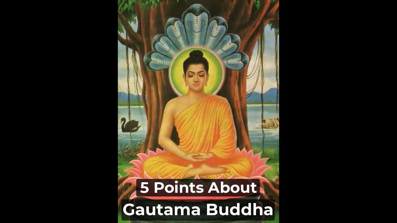 Gautama Buddha - 5 important points | Gautama Buddha facts, story of ...