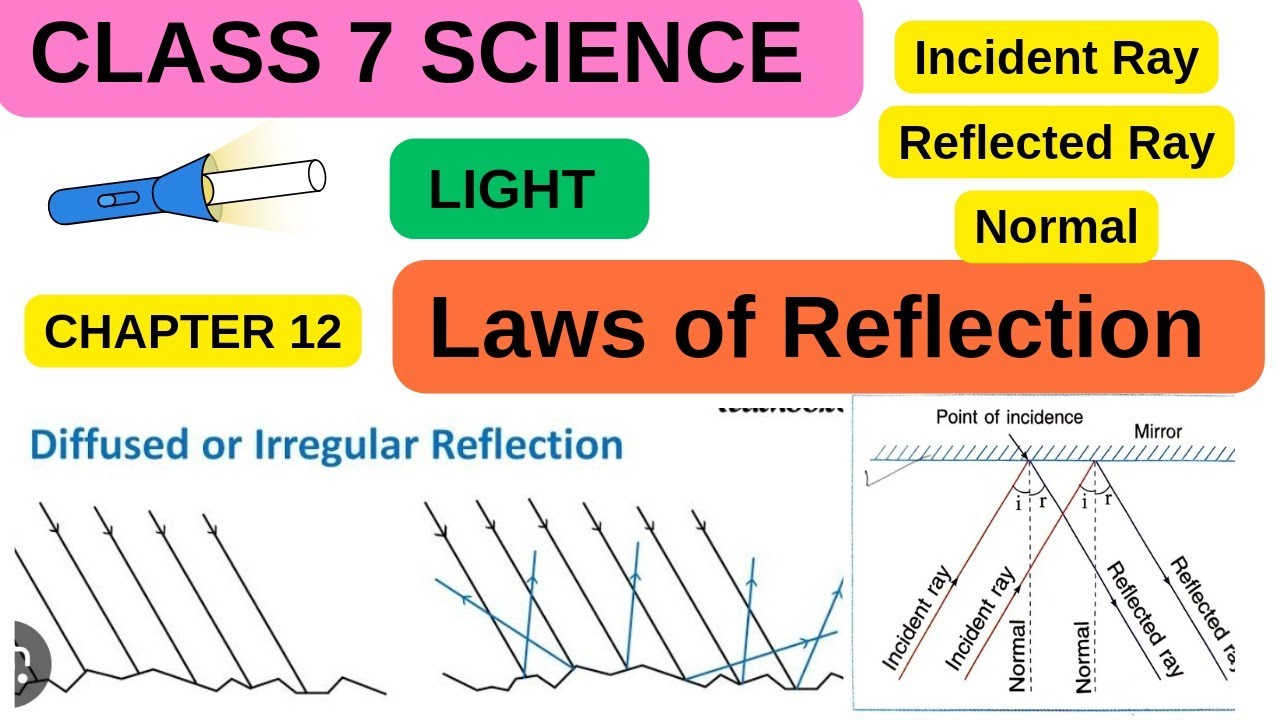 Class 7 Science Chapter 12 | Light | Laws of Reflection | Incident Ray ...