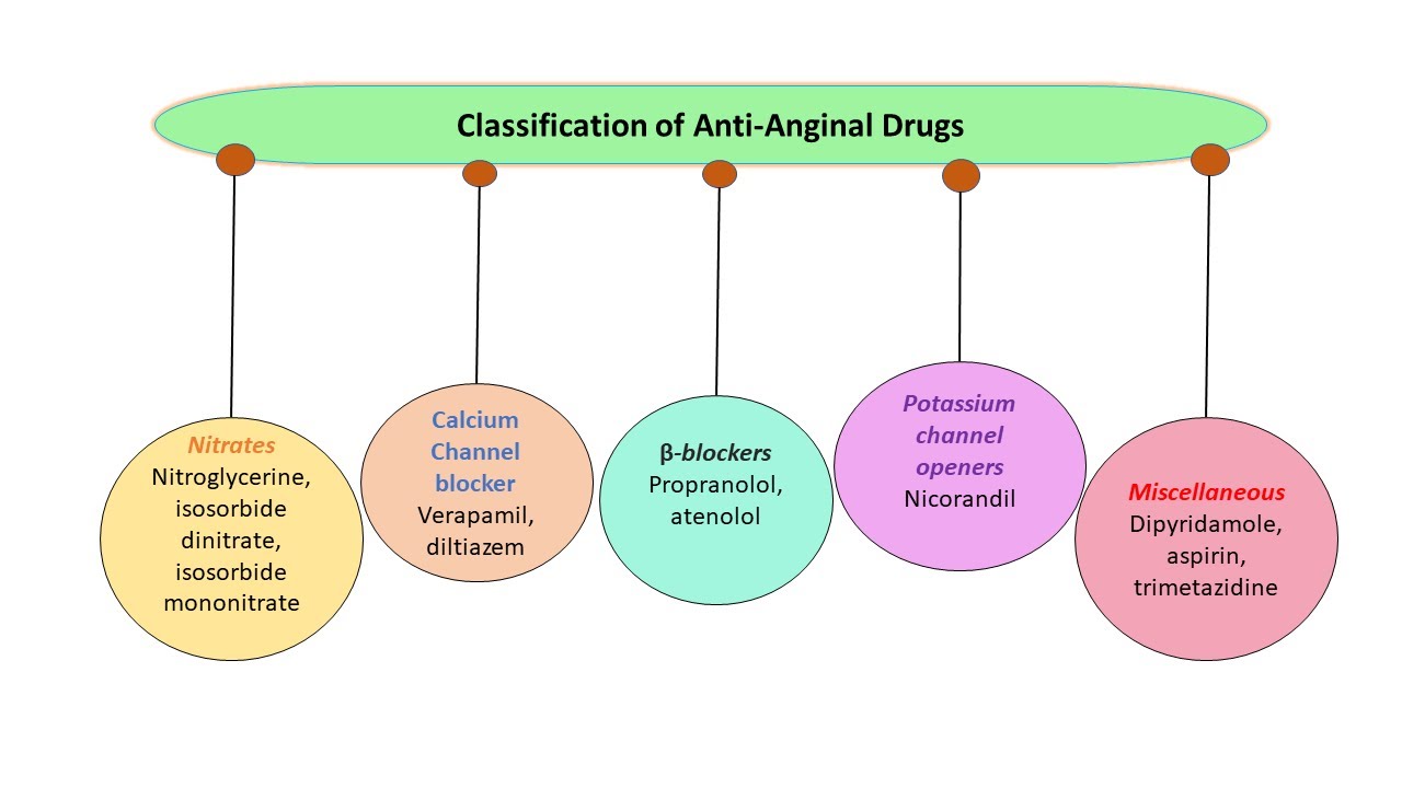 Classification of Anti-Anginal Drugs - YouTube