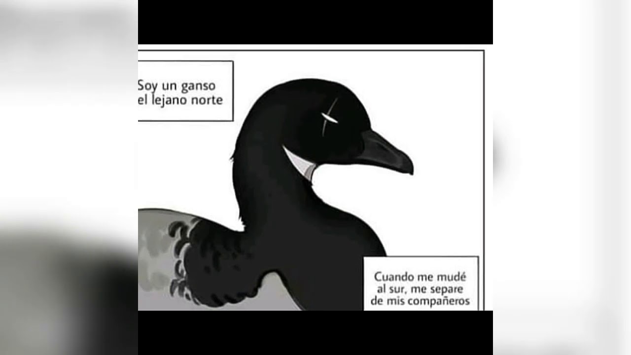 GANSO Y GORRION COMIC DUB - YouTube