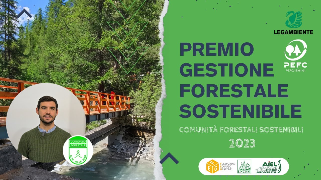Comunità Forestali Sostenibili 2023 | Categoria Gestione Forestale ...
