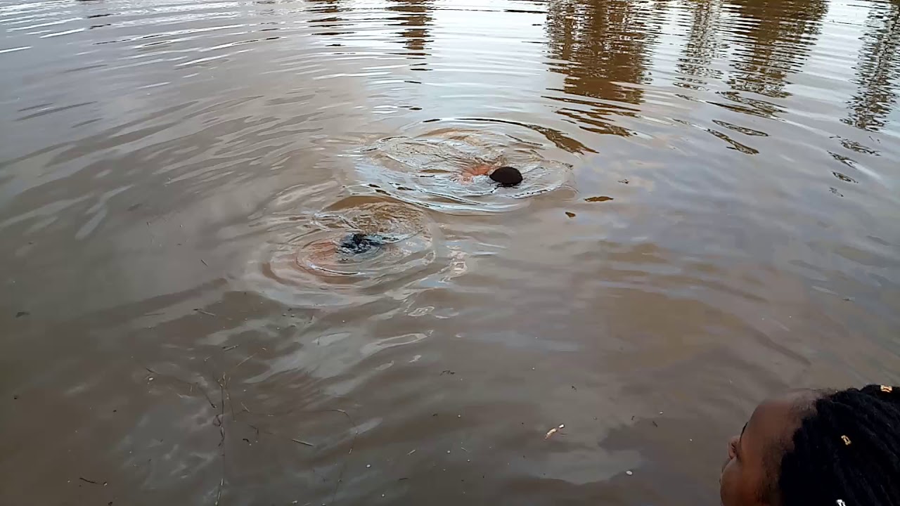 swamp swimming"breath hold competition" by joe @eminem - YouTube