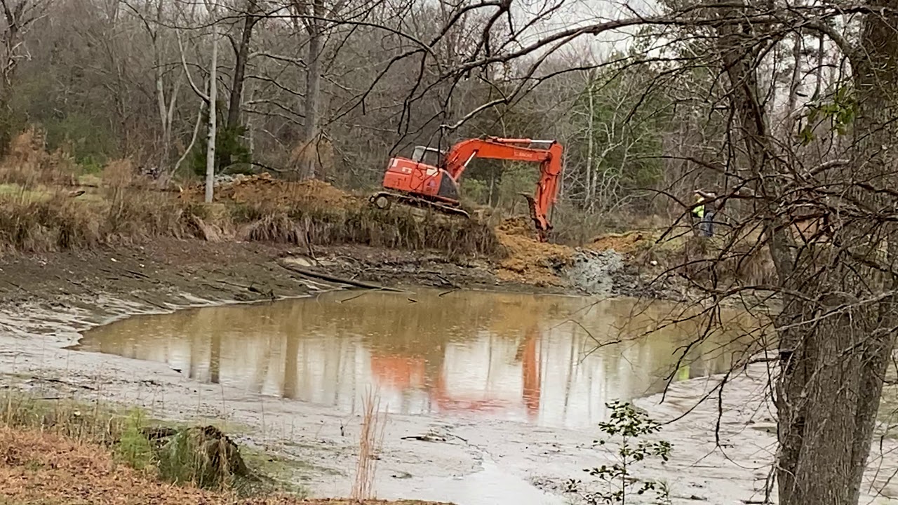 Drain the swamp part two - YouTube