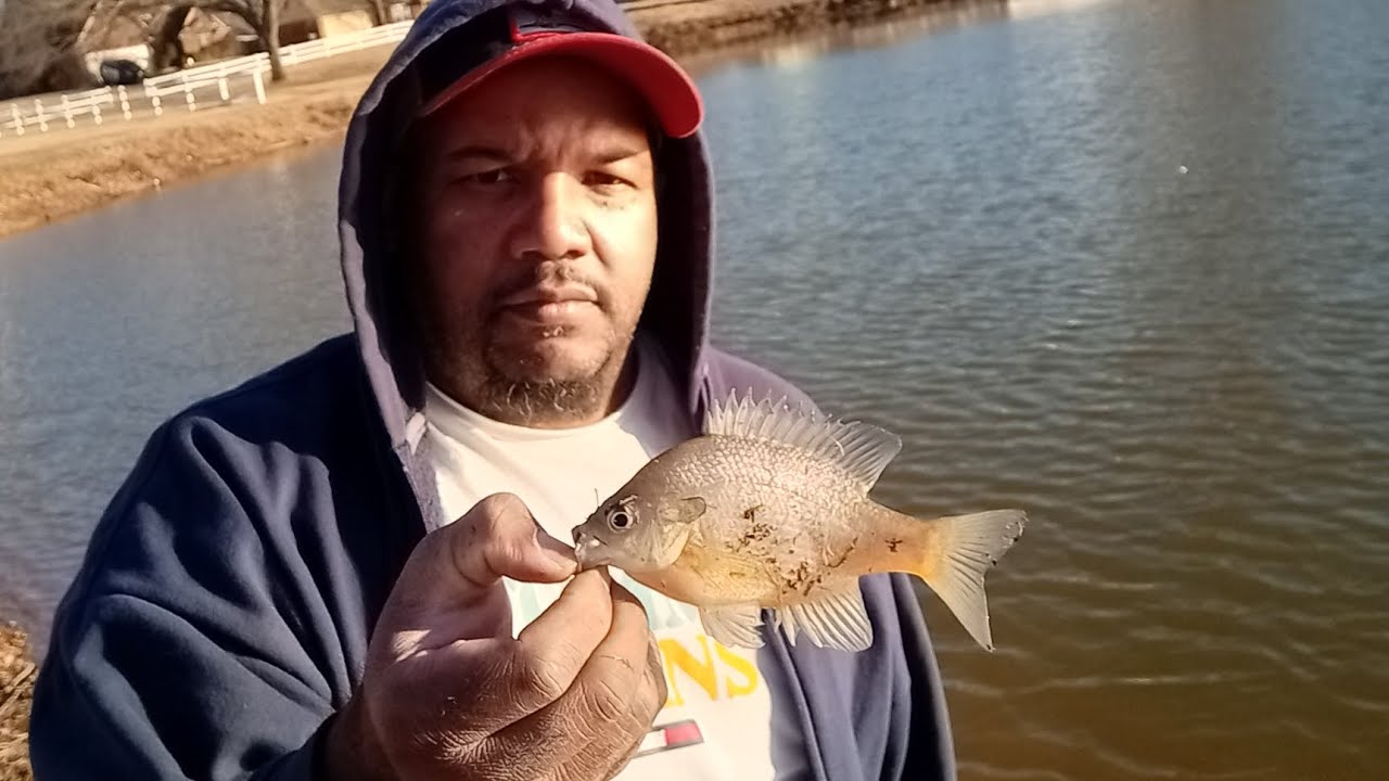 WOW NICE BLUE GILL AND CRAPPIE - YouTube