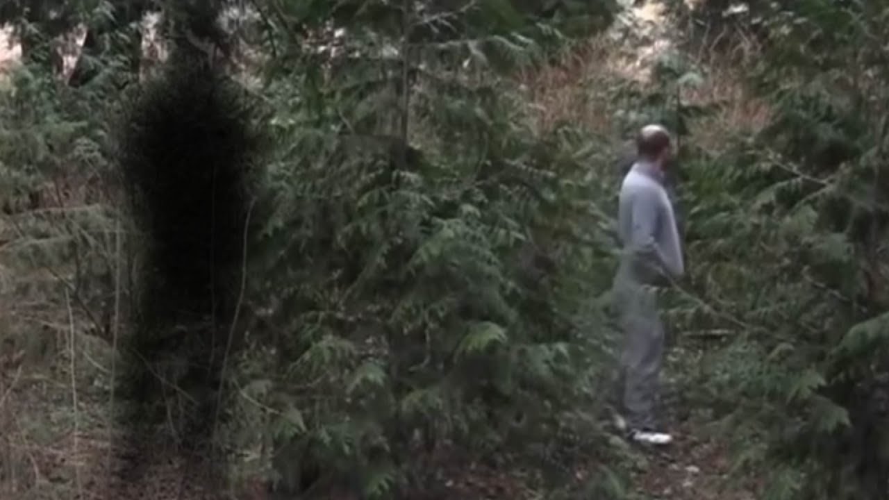 Shadow people caught on Tape in the Forest - Shadow People attack the ...
