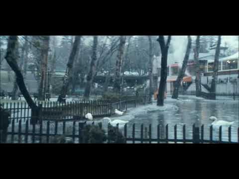Bizim Büyük Çaresizliğimiz - Kediler Gibi Olmak