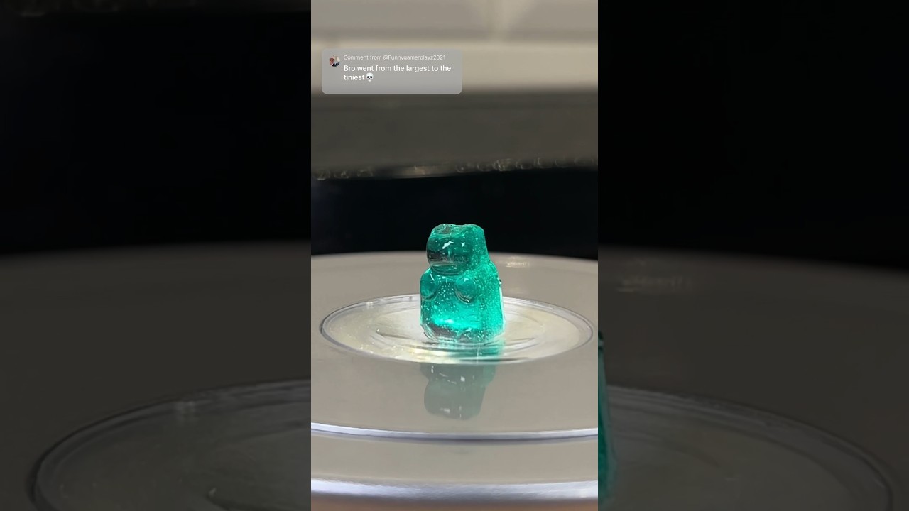 Worlds Smallest Gummy Bear