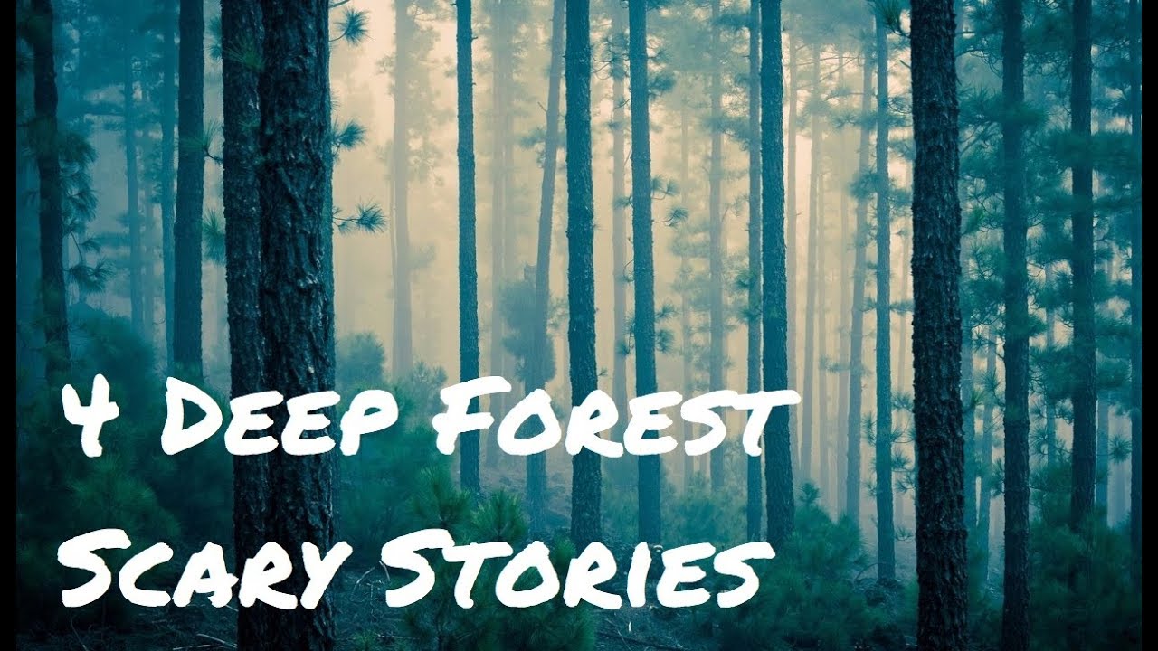 4 TRUE SCARY DEEP FOREST STORIES!!! - YouTube