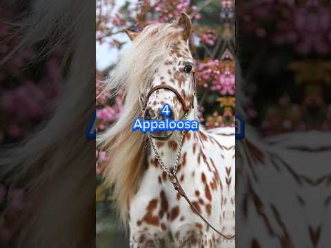 Top 10 Most Beautiful Horse in the World 🌍 #foryou #shortsfeed #shorts #fyp #ytshorts #horse#views