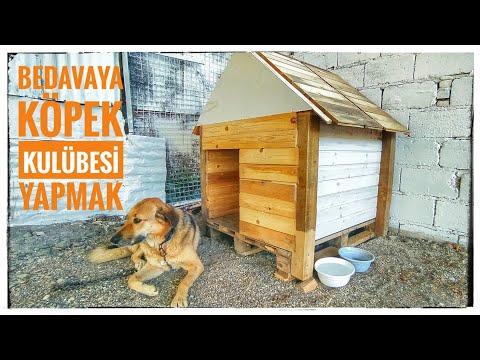 Eldeki Malzemeler ile Para Harcamadan Köpek Kulübesi Yapmak