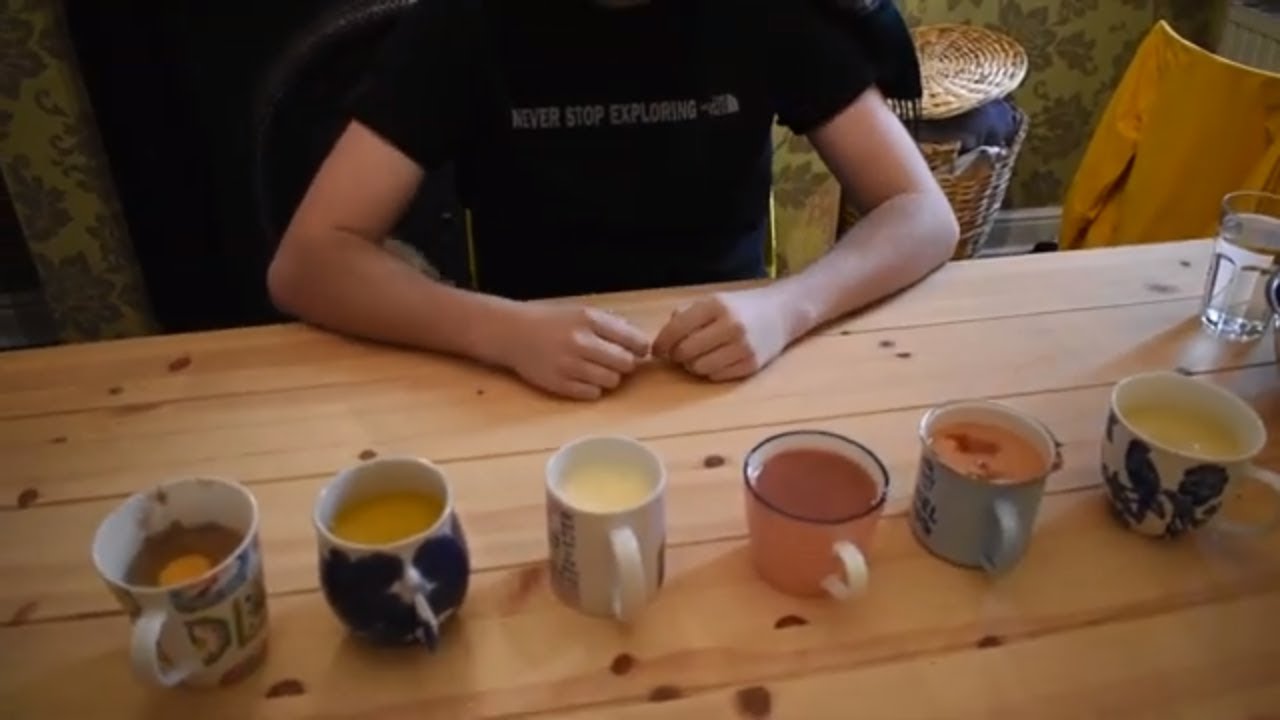 Good VS Gross Smoothie Challenge - YouTube