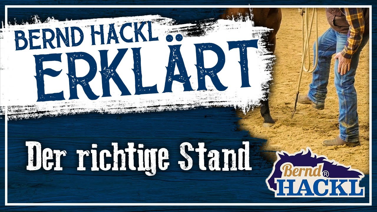 Der richtige Stand | Bernd Hackl erklärt! 🐴 - YouTube