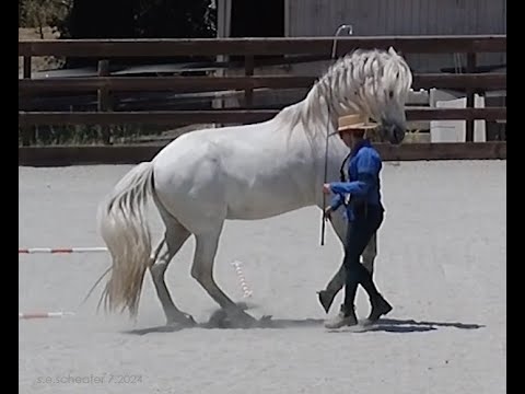 ZanetaClass Liberty 7252024 - YouTube