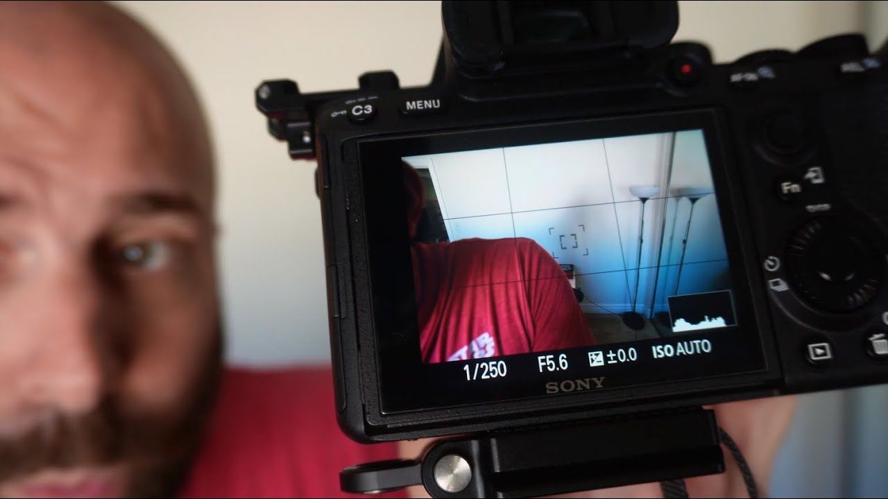 Sony a7iii Grid Lines - What Are They? - YouTube
