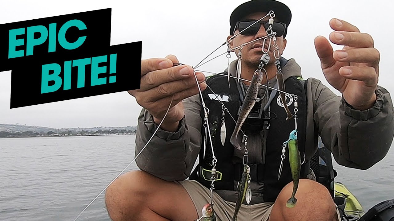 WAR/RIG superior bait fish presentation | WARBAITS WAR/RIG 54 RIG - YouTube