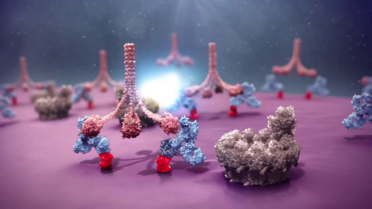 Cuál es la conexión entre el lupus y el cáncer - YouTube