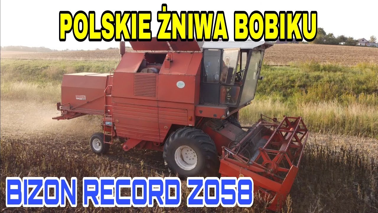 Polskie żniwa bobiku Kombajn Bizon Rekord Z058 & ciągnik Ursus 🚜 Stare ...